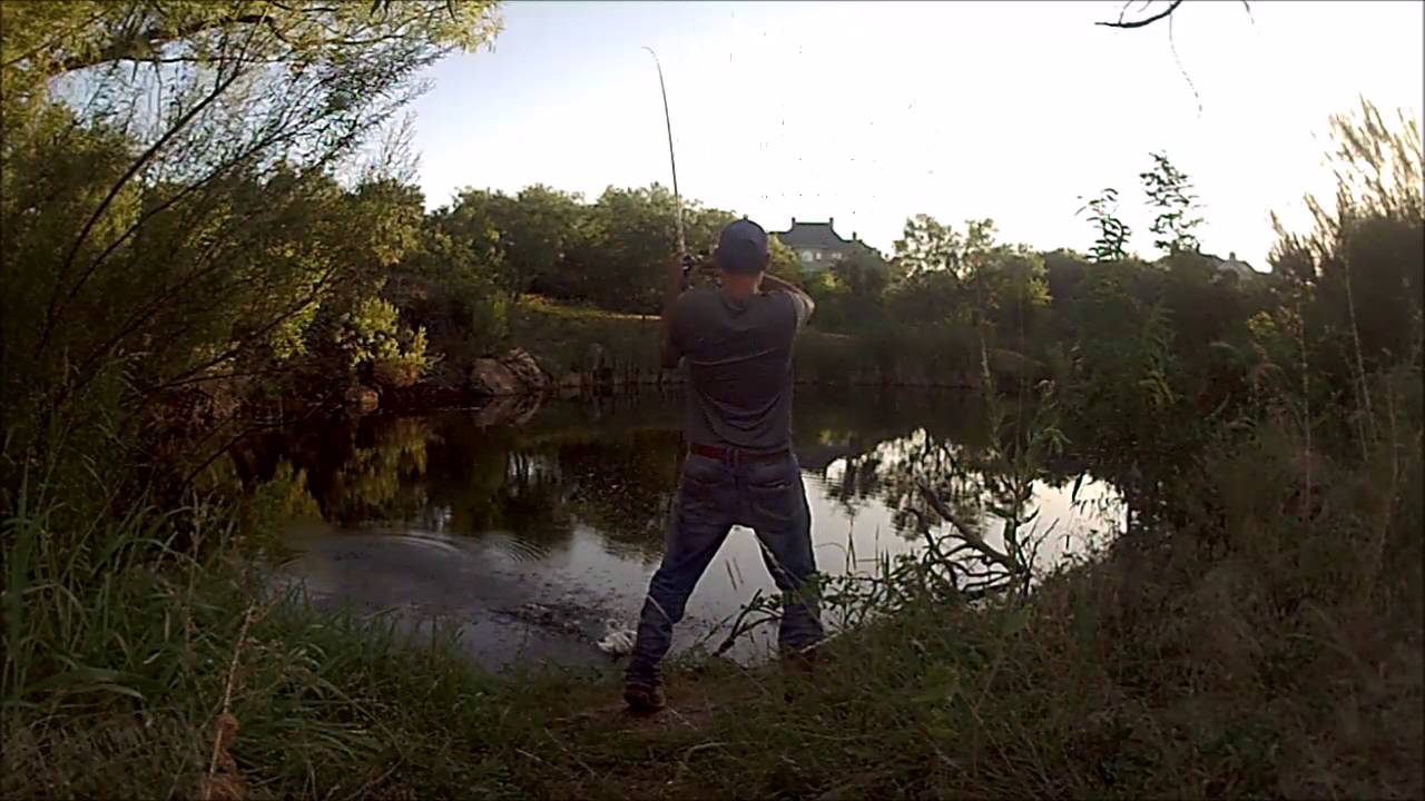 Early morning pond bass fishing - YouTube