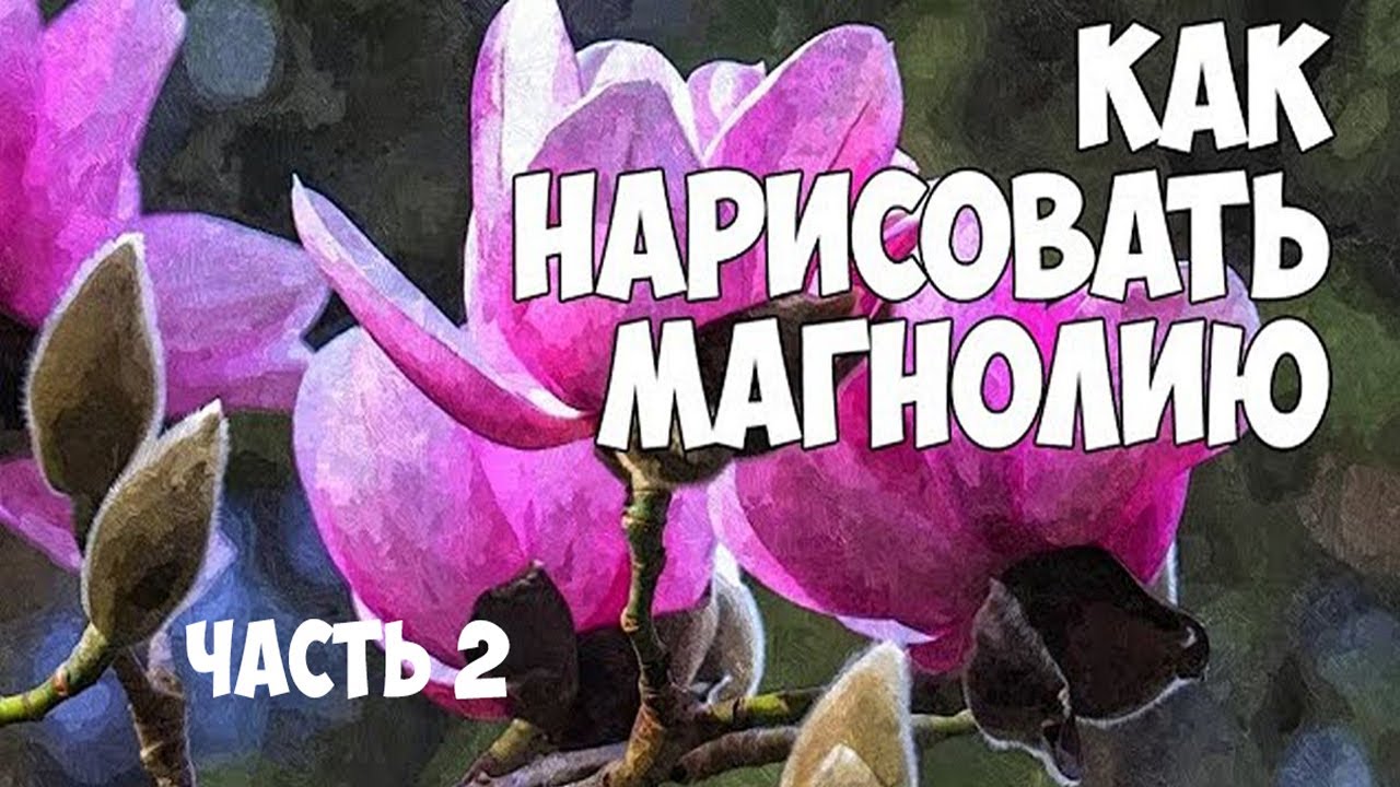 Как нарисовать цветы акрилом Как нарисовать магнолию Youtube