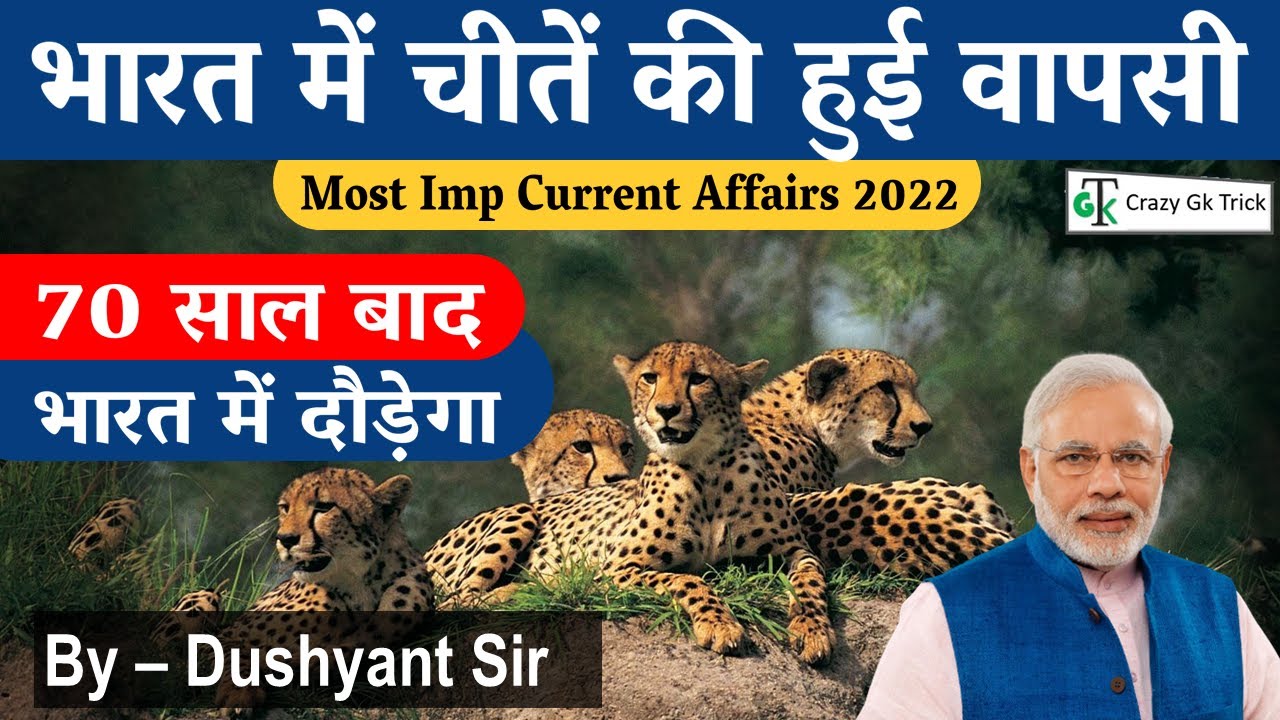 Cheetah Returns After 70 years | Re-introduction of Cheetah | Kuno ...