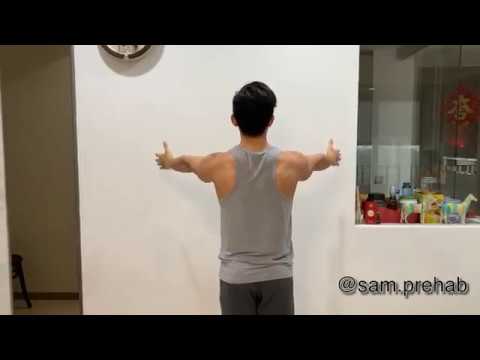 Scapular CARs , Shoulder-Blade (Controlled Articular Rotations) - YouTube