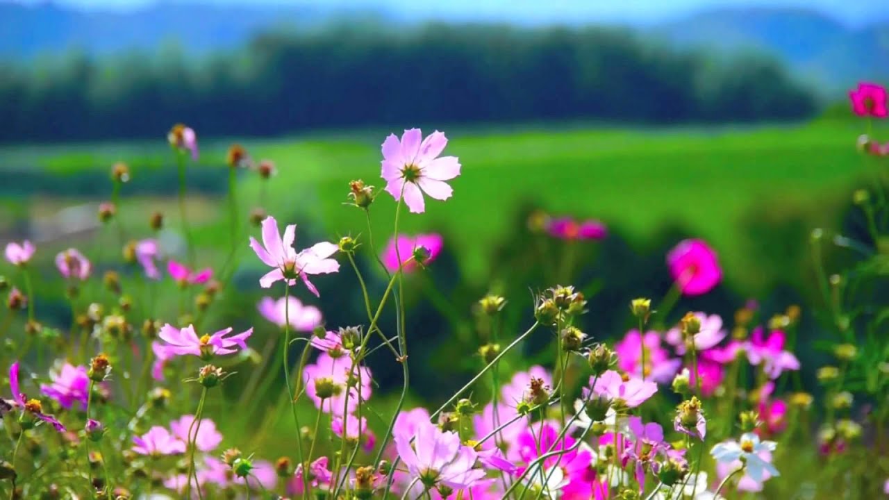 RELAXING CHRISTIAN MUSIC | Soft Music, Hymns, Instrumental | Prayer And ...