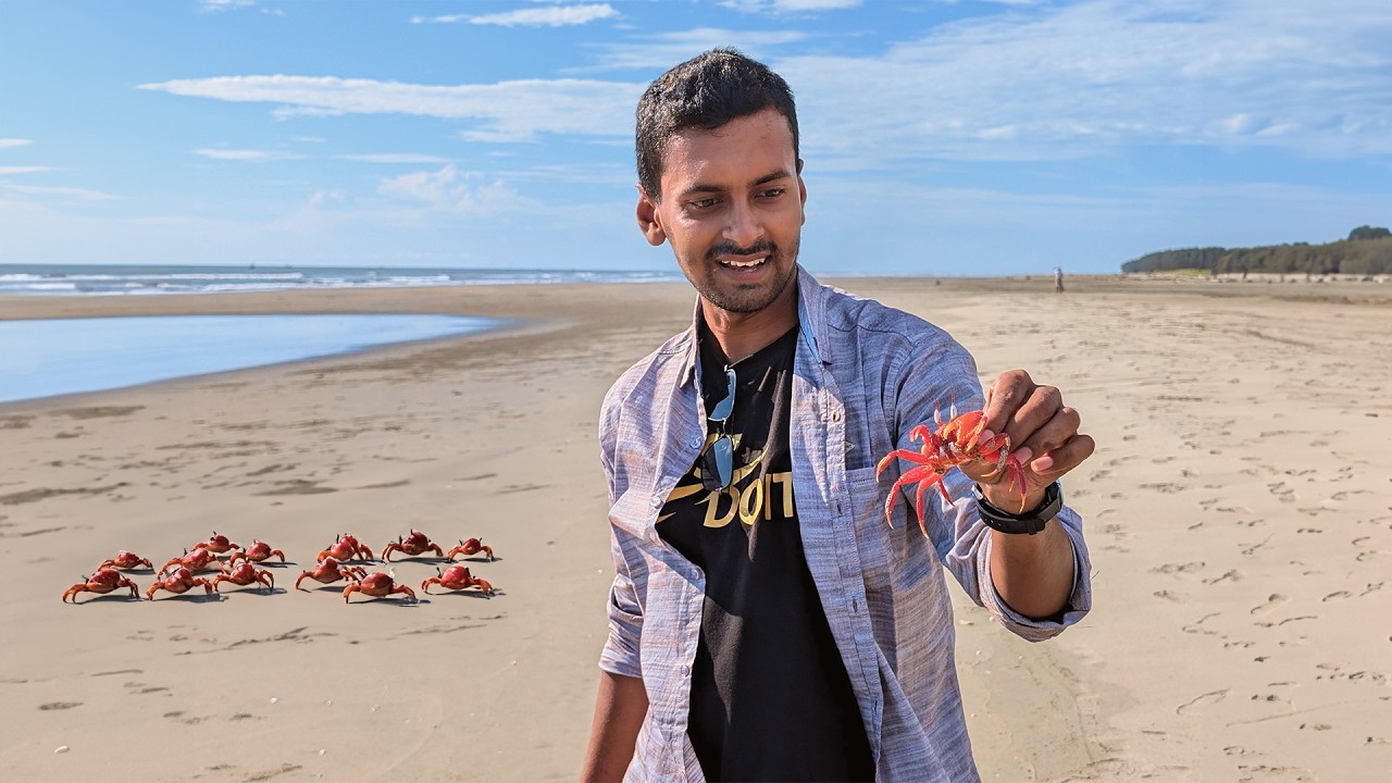 The Home of Red Crabs | Kakra Beach🦀 - YouTube