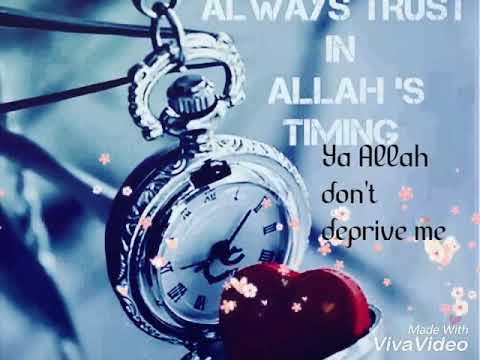 Islamic whatsapp status - o allah the almighty