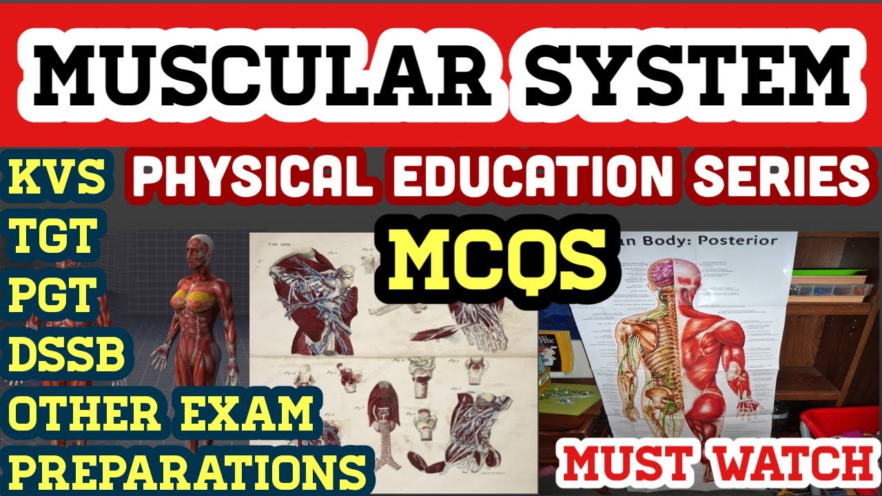 Muscular System MCQ || MCQS on Muscular System with Answers || Physical ...