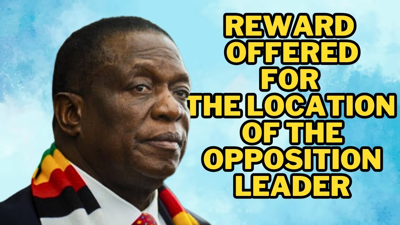 Zimbabwe Police Hunt for Promise Mkwananzi - YouTube