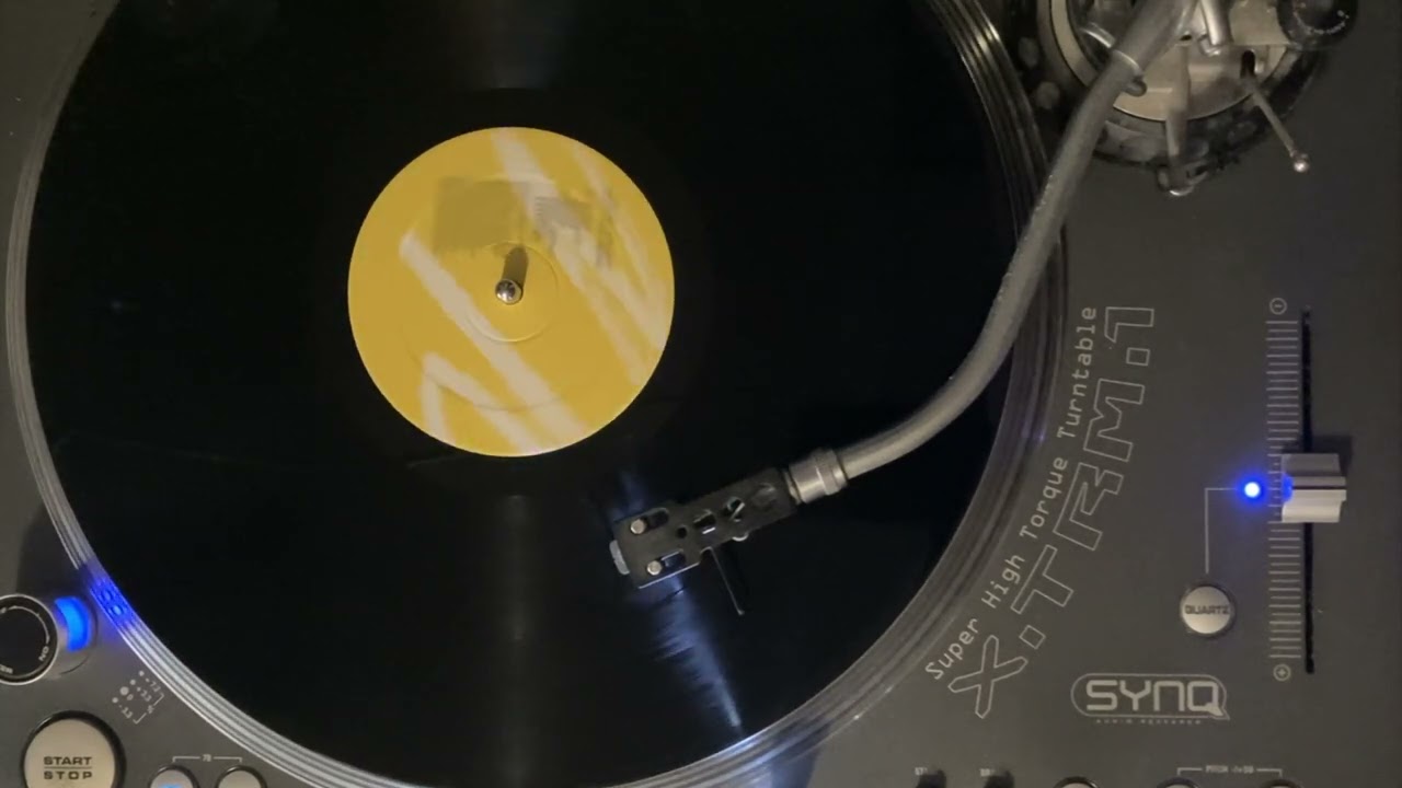 The Roc Project Featuring Tina Arena - Never | MAXVINILOS