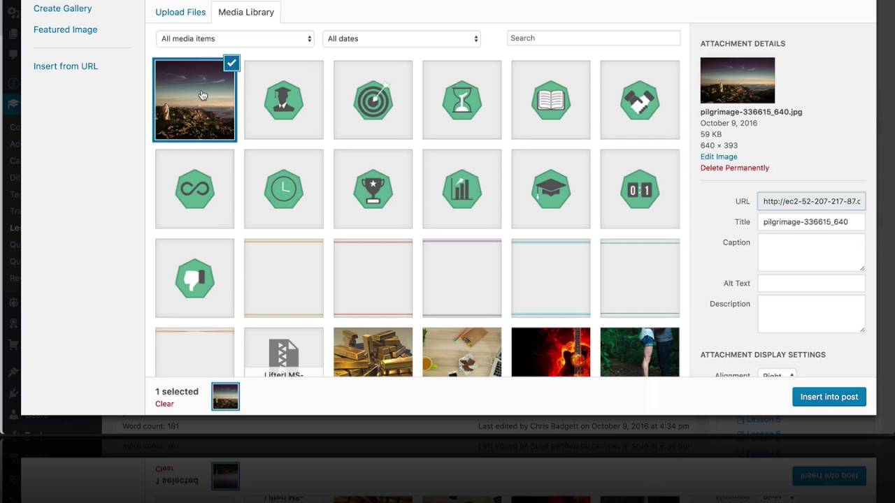 How to Use Lessons - YouTube