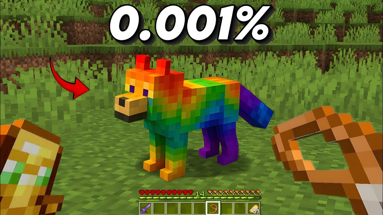 Minecraft: I Found Every Wolf Variant (You Won’t Believe the Last One ...