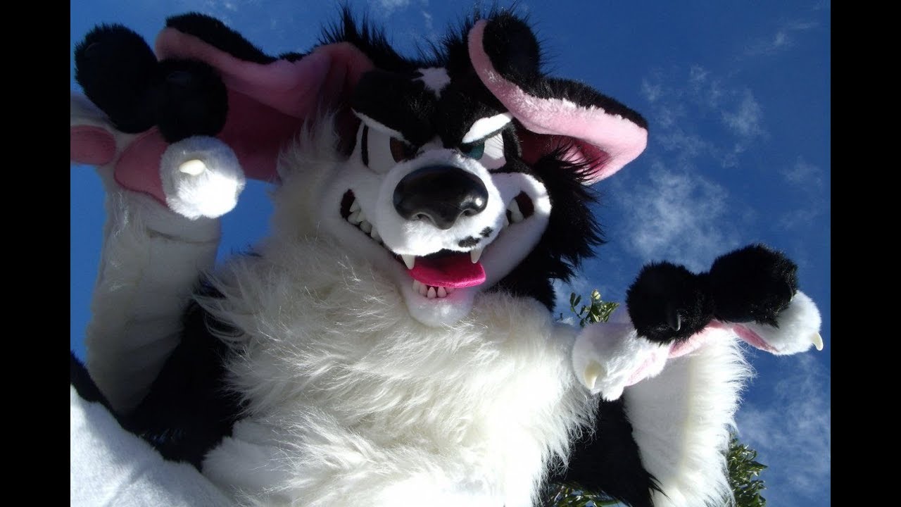 Gamer got beat up by furries (road rage) - YouTube