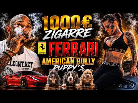 1000€ ZIGARRE • FERRARI • AMERICAN BULLY PUPPIES | Anne & Quan Hellgallery