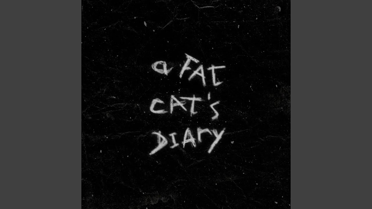 A Fat Cat s Diary YouTube a-fat-cat-s-diary-youtube