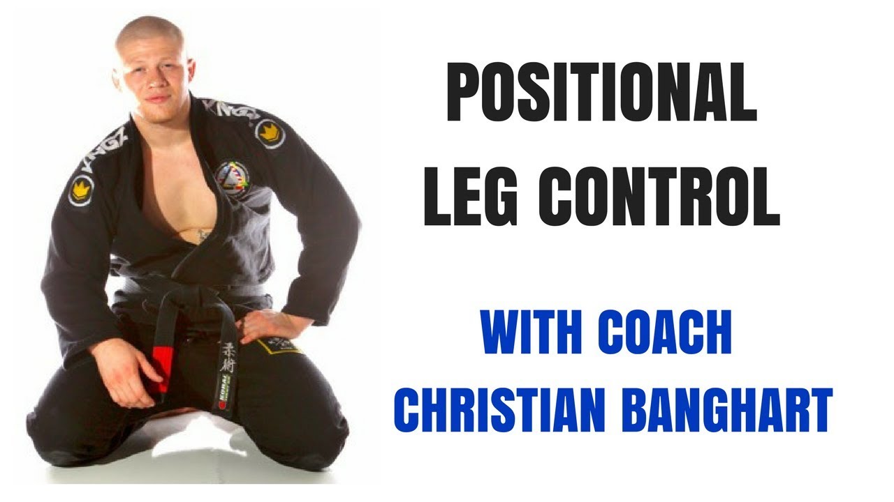 Positional Leg Control System - Part I - YouTube