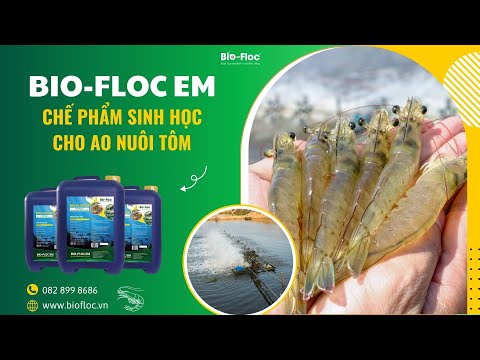 [BIO-FLOC] _ Bio-Floc EM - Chế phẩm sinh học cho ao nuôi tôm - YouTube