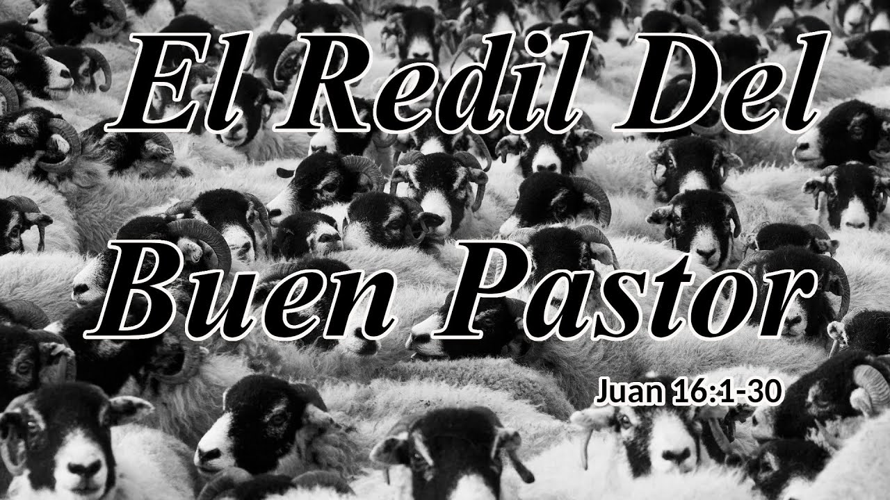 El Redil Del Buen Pastor - YouTube