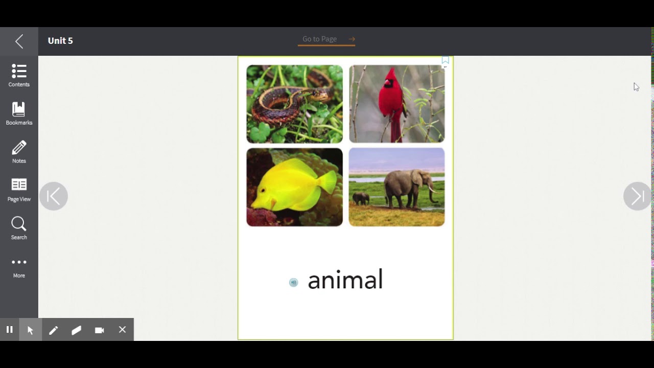 ESOL Grade 1 Unit 5 Week 1 Vocabulary - YouTube