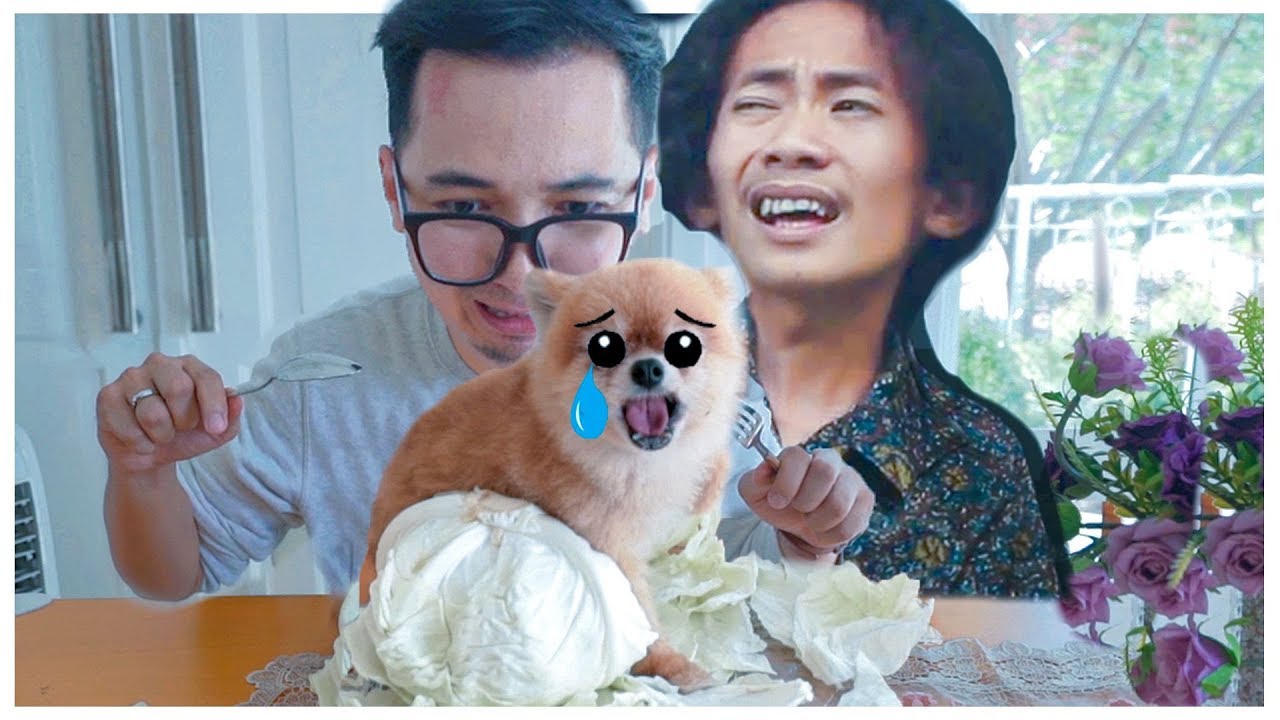 MAKAN DAGING ANJING DENGAN SAYUR KOL with SMVLL !! Wkwkwkwk - YouTube