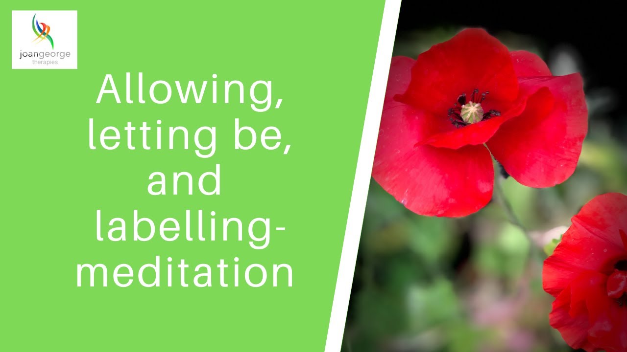 Allowing, letting be and labelling meditation - YouTube