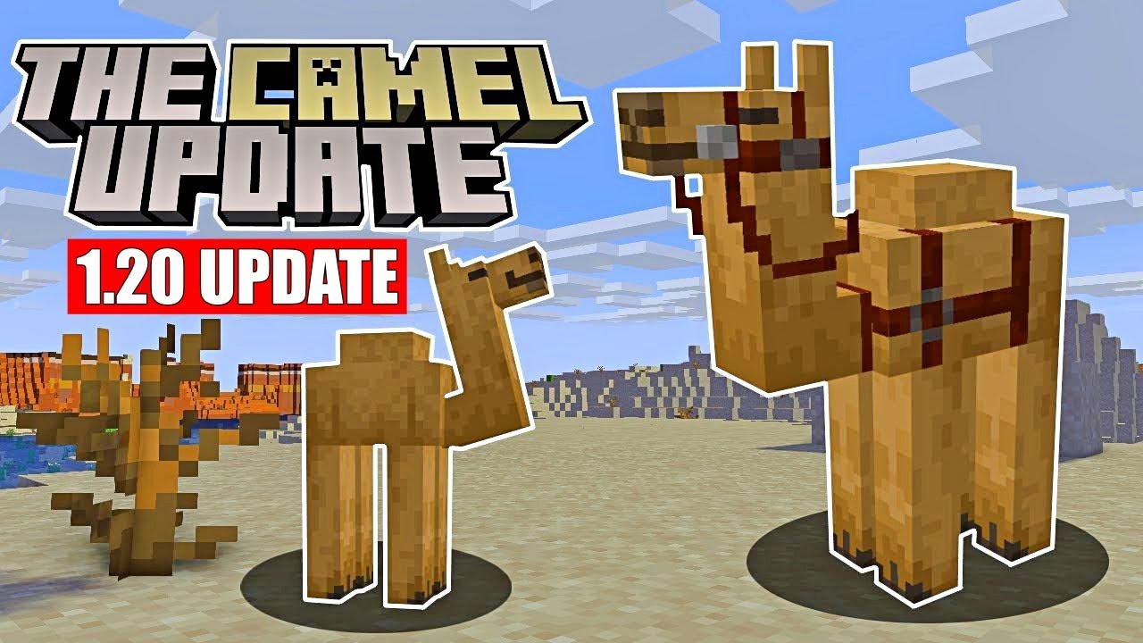 MINECRAFT LIVE - 🌹 - 1.20 Minecraft Update is here - New Camel And ...