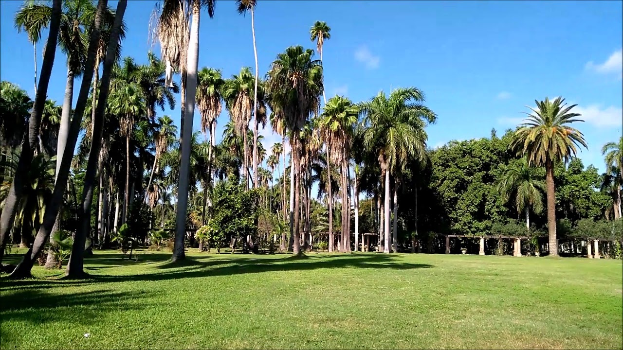 PRODUCTO INTEGRADOR: EL MARAVILLOSO PARQUE SINALOA Y LA HISTORIA QUE ...