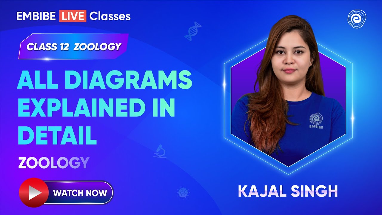 Class 12 Biology | Most Important Diagram Explanation in Detail | Do ...