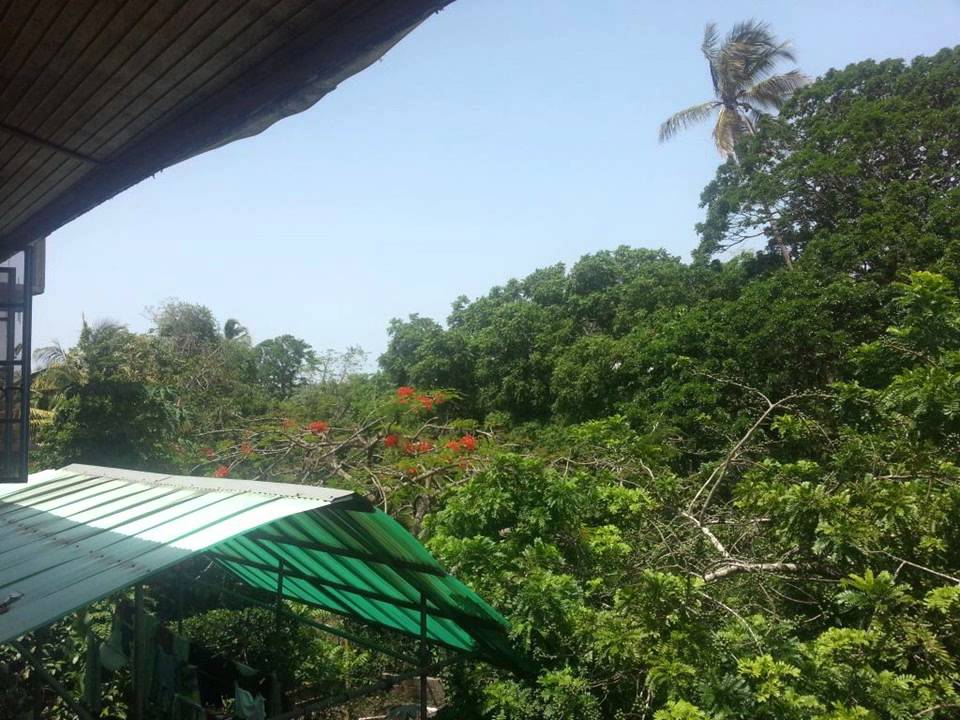 Calder Hall, Tobago - YouTube
