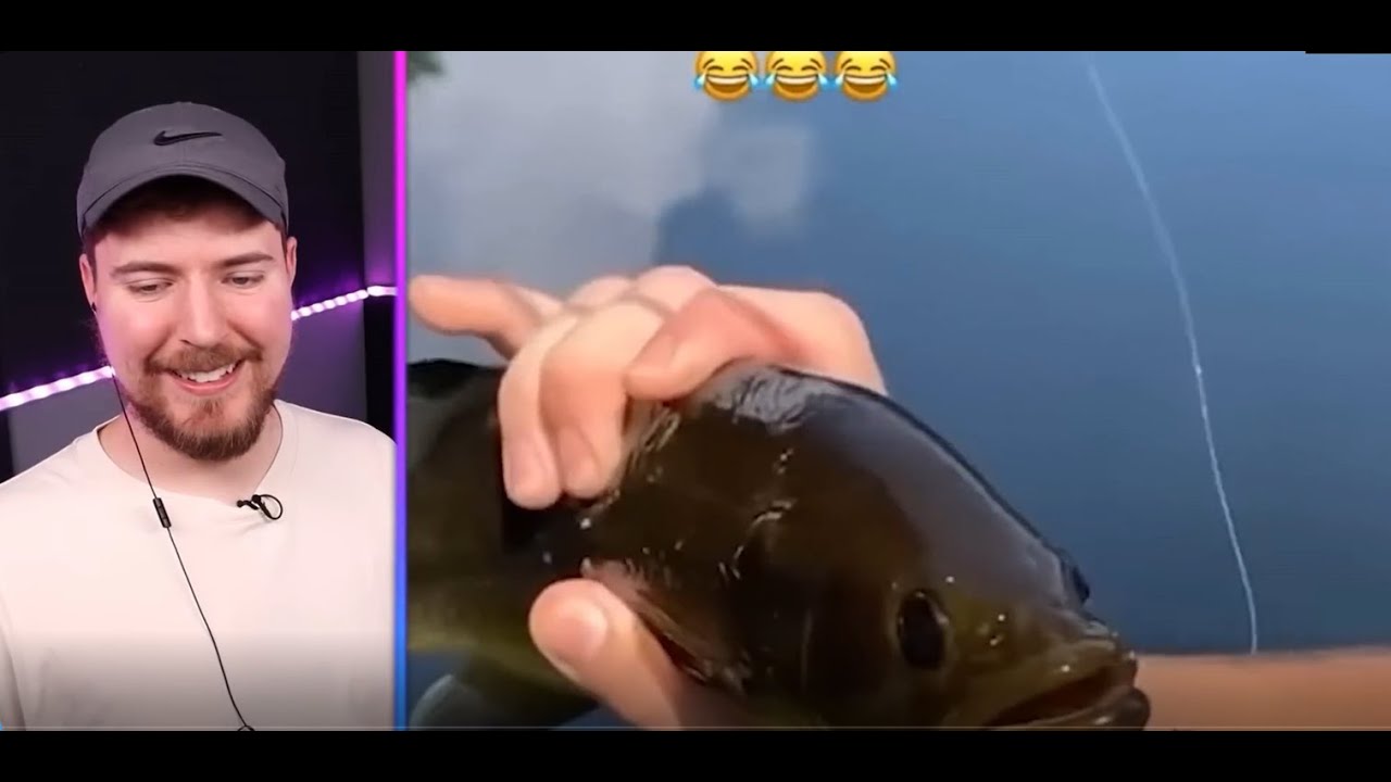 Mr. Beast Recapping The Funniest Video He's Seen In A while! - YouTube