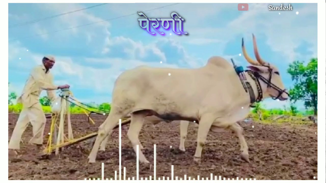 Shetkari status video s.k - YouTube