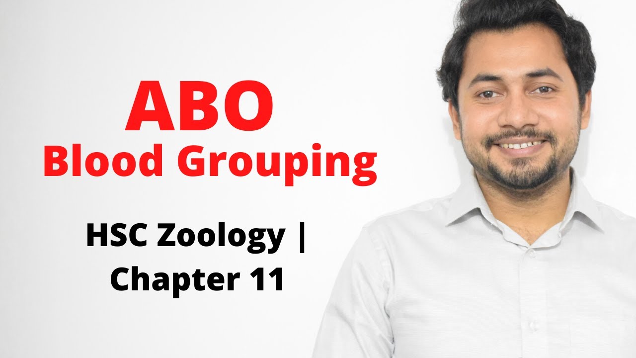 ABO Blood Grouping | Genetics | HSC Zoology Chapter 11 - YouTube