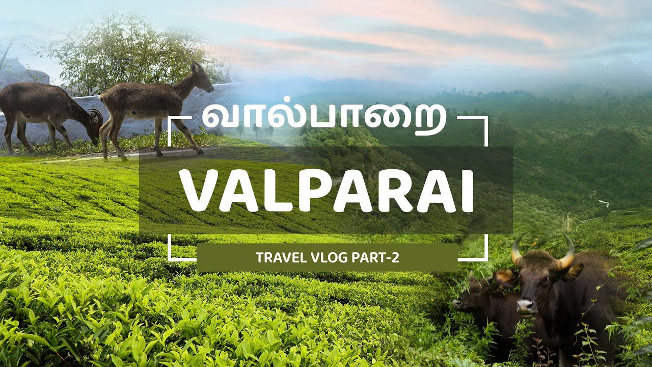 Part 2 - Best places in valparai | Best Stay in Valparai | Birla ...