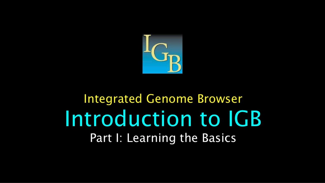 Introduction to IGB: Part I: Learning the Basics - YouTube