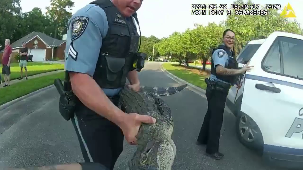 Police bodycam shows moment gator was caught in Savannah neighborhood ...