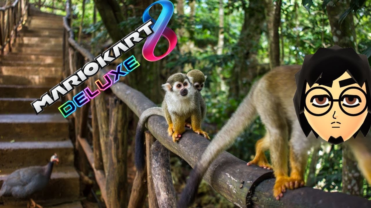 MK8D Battle WWs w Hef - YouTube