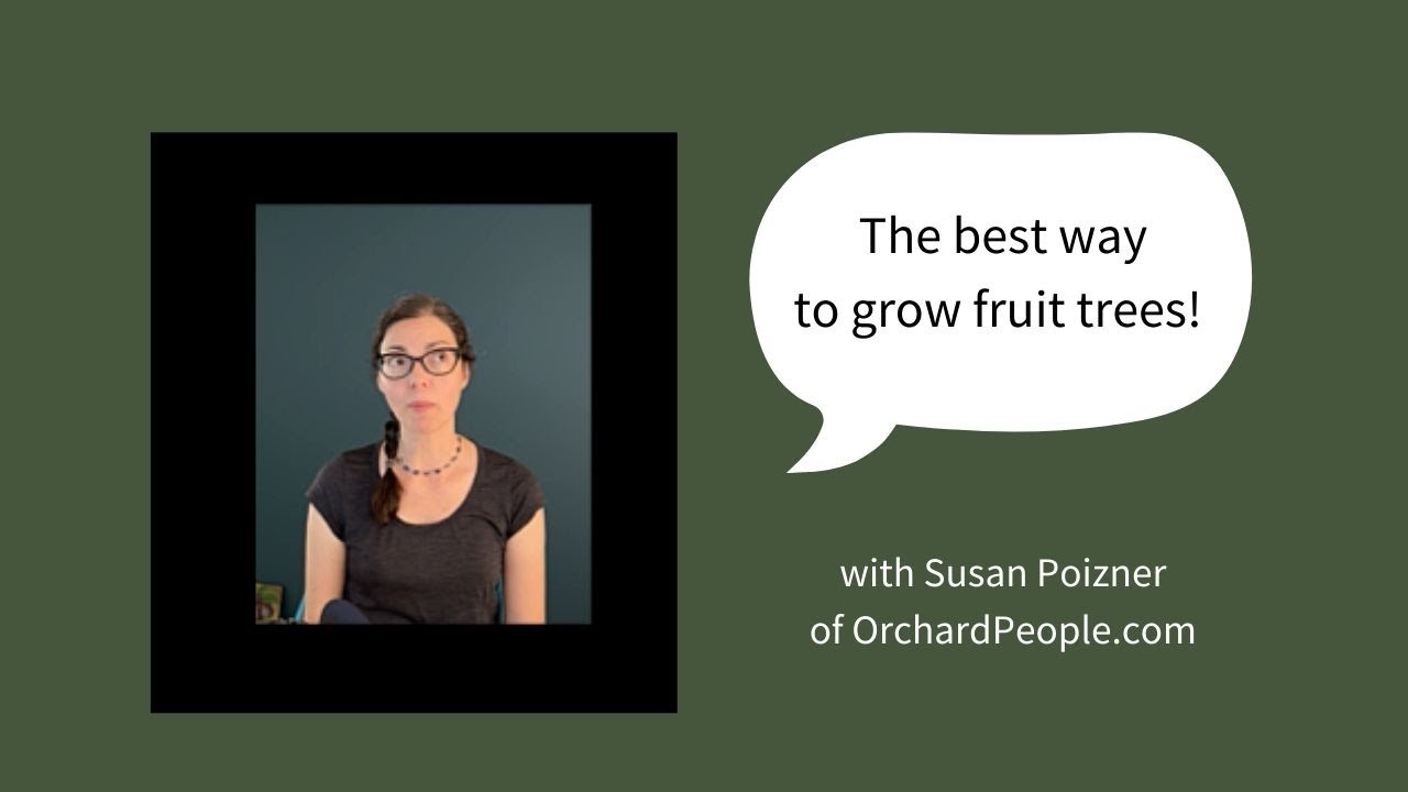 The Best Way to Grow Fruit Trees with Susan Poizner of OrchardPeople ...
