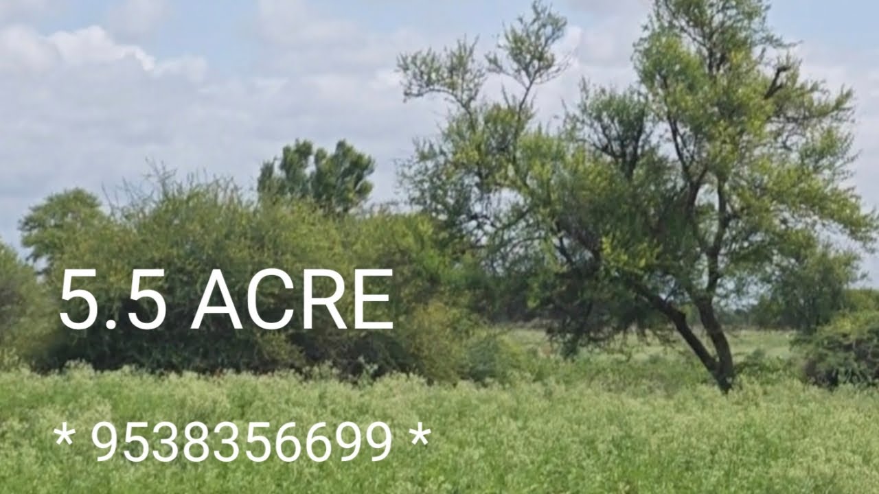 Mu) 5.5 ACRE | DISTINCTIVELY COLOURED FARM LAND'S | LIFE IN PERFECT ...