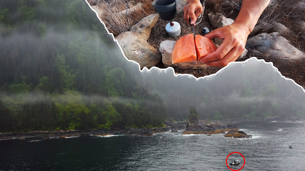 Salmon Catch and Cook - Caught in Alaska, Cooked in California! - YouTube