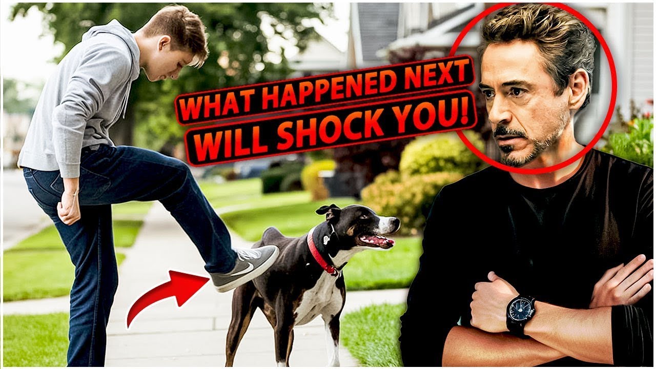 A Rich Boy Kicked a Dog… But Tony Stark’s Response SHOCKED Everyone ...