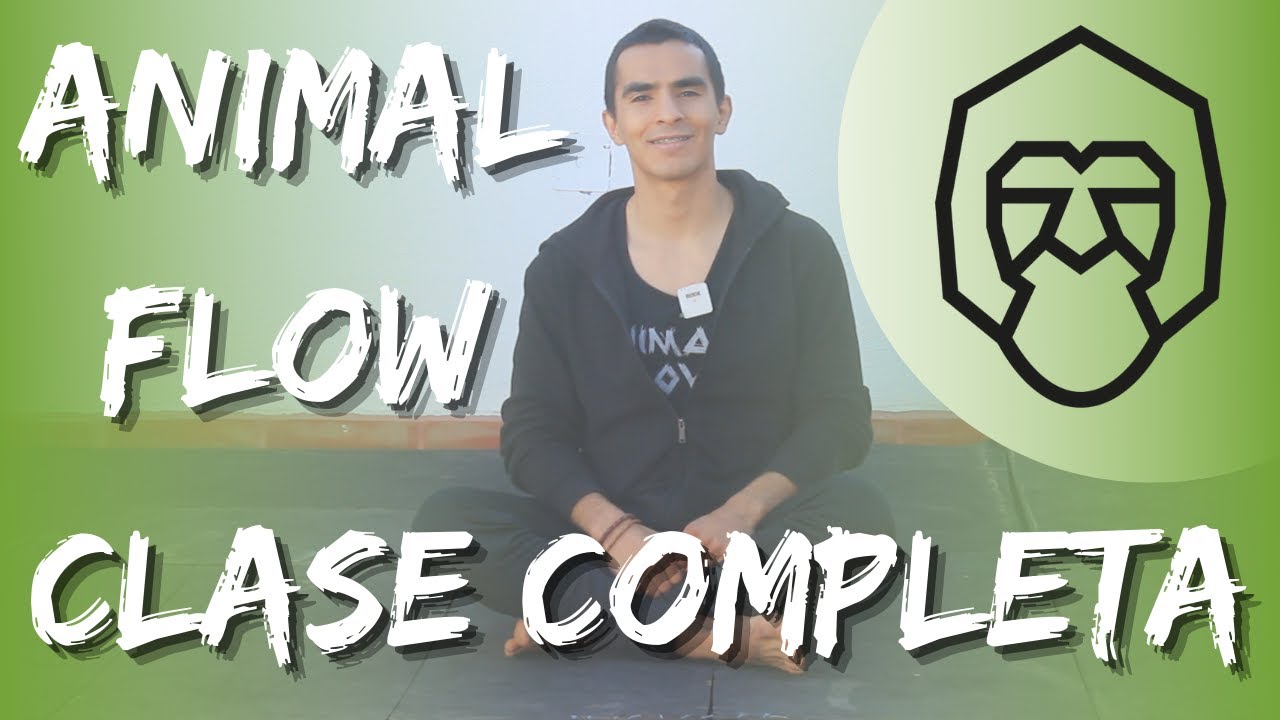 Animal Flow rutina de 30 minutos (Animal movement) + flow integrado ...