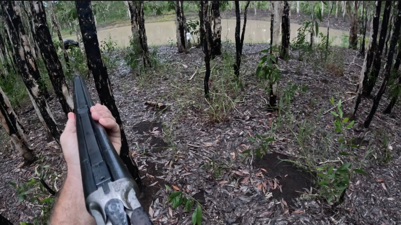 HUNTING BUFFALO WITH A DOUBLE RIFLE .500 NITRO EXPRESS - AUSTRALIA DAY ...