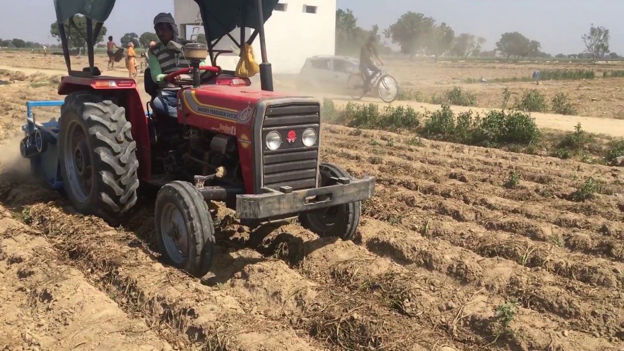 Potato harvestation in india - YouTube