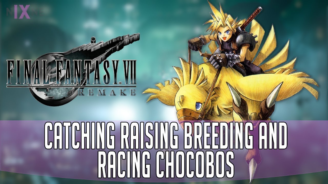 Final Fantasy 7 Remake Catching Raising Breeding And Racing Chocobos ...