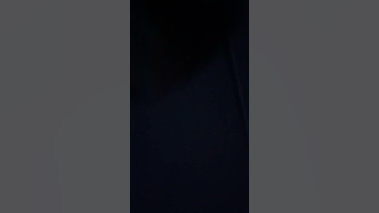 very normal things #antizoo #therian #alterhuman - YouTube