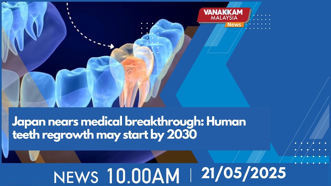 21/05/2025:Japan nears medical breakthrough: Human teeth regrowth may ...