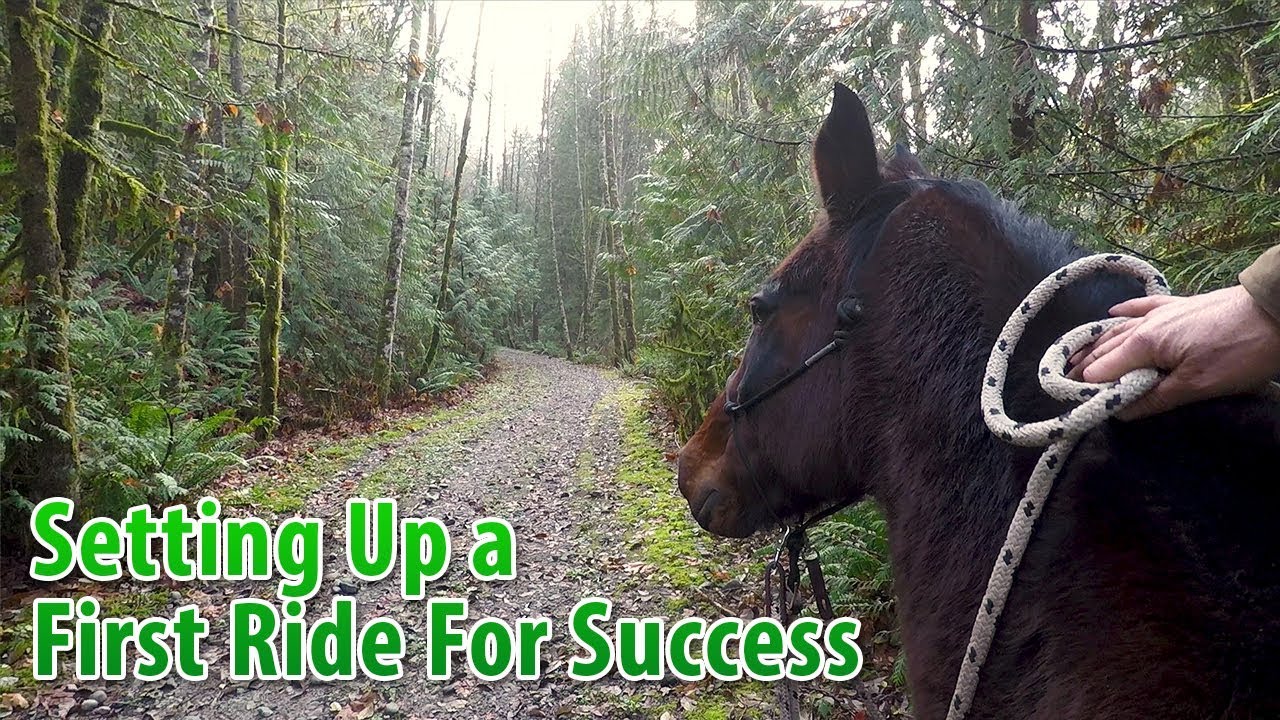Setting Up a First Ride For Success - YouTube