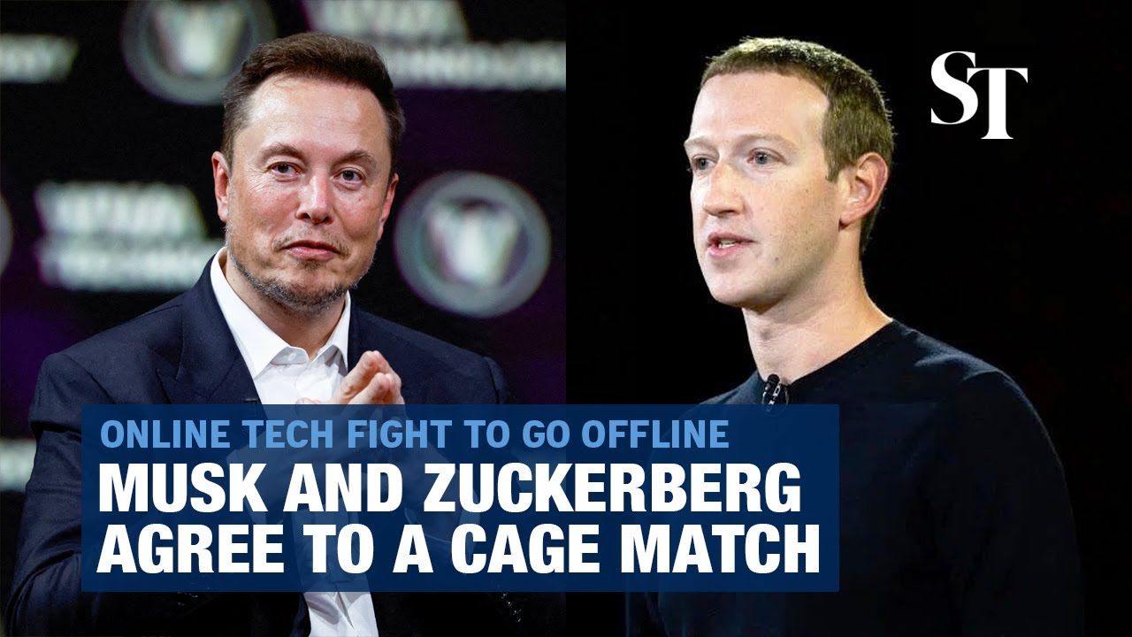 Elon Musk, Mark Zuckerberg agree to a cage match - YouTube