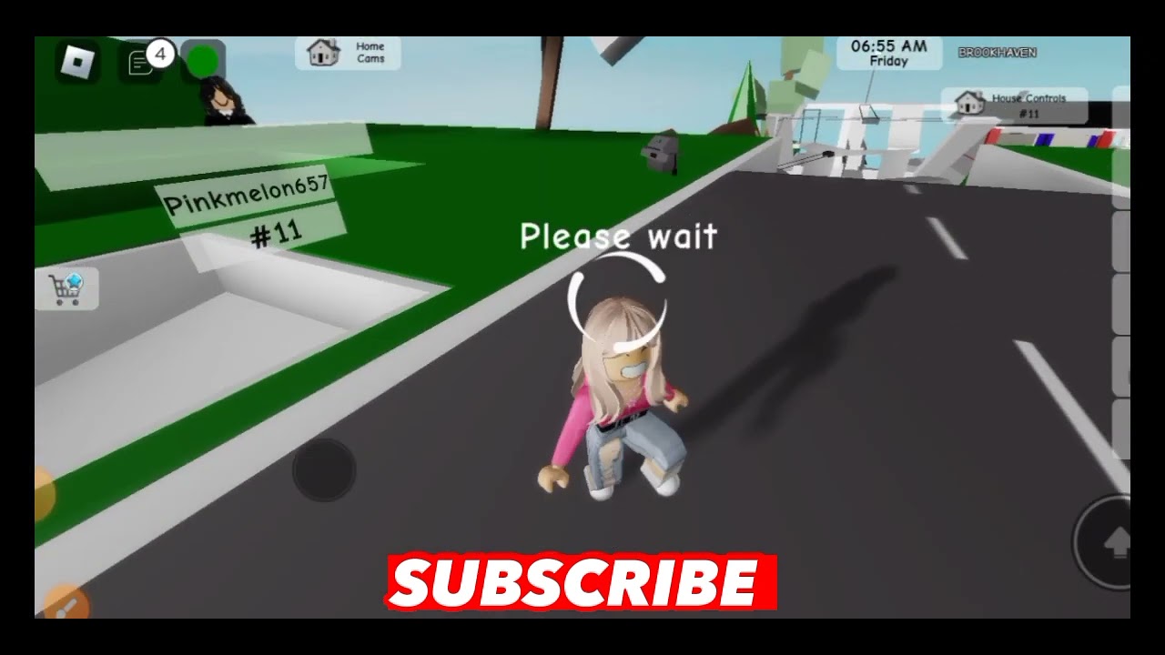 Brookhaven hacks :) - YouTube