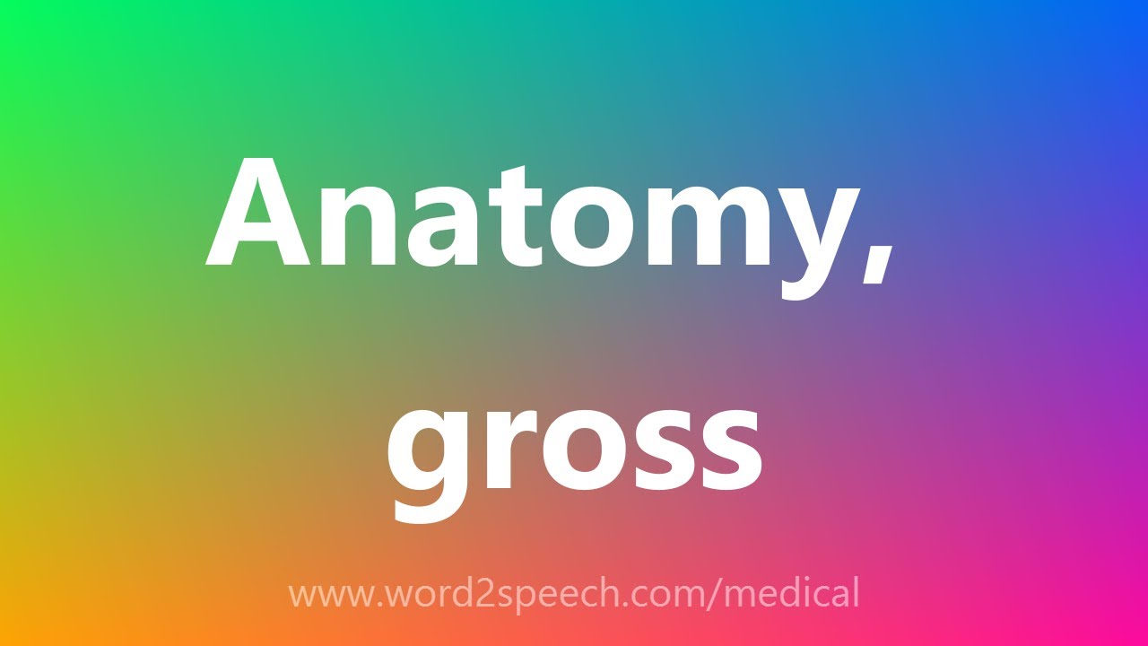 Anatomy, gross - Medical Definition - YouTube