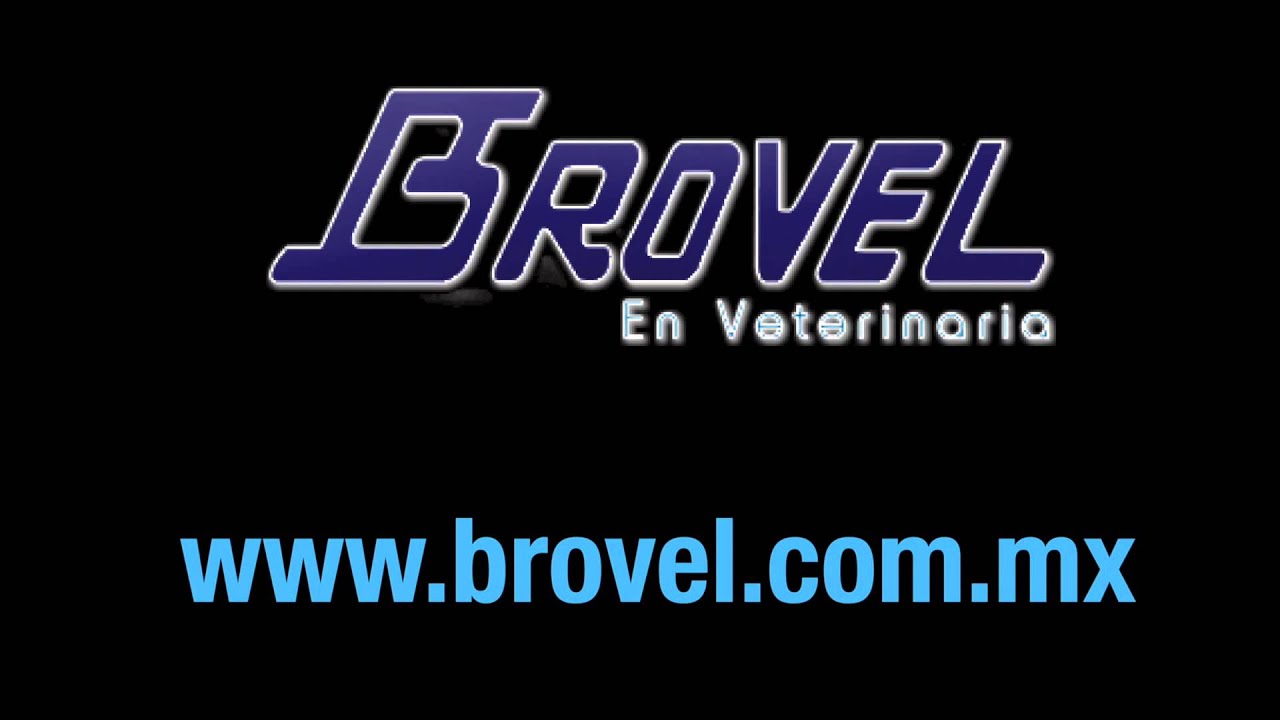 Borregueando la Noticia Brovel y Sacro en el CIBO 2015 - YouTube