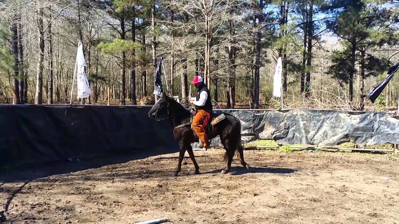 Darrell Gardner's Horsemanship - YouTube