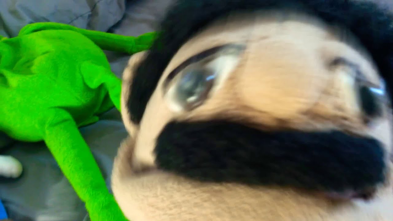 Kermit found scary people - YouTube