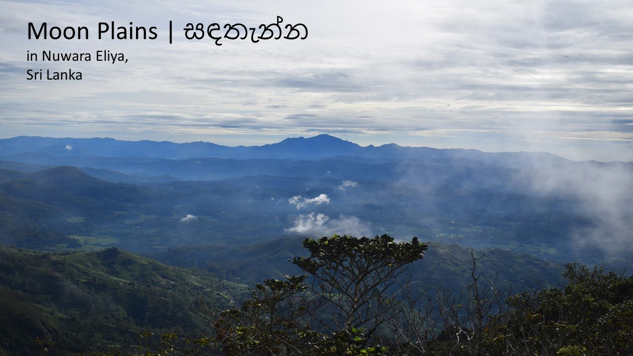 සඳතැන්න [Moon Plains in Nuwara Eliya, Sri Lanka] - YouTube